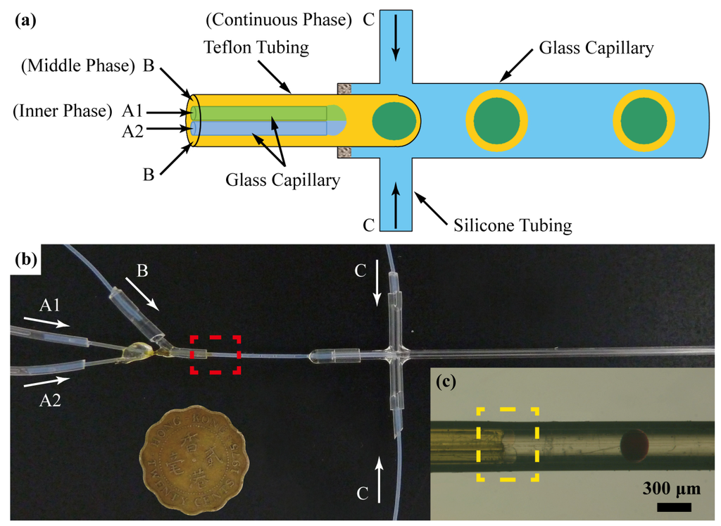 A Double Emulsion-Based, Plastic-Glass Hybrid Microfluidic Platform for ...