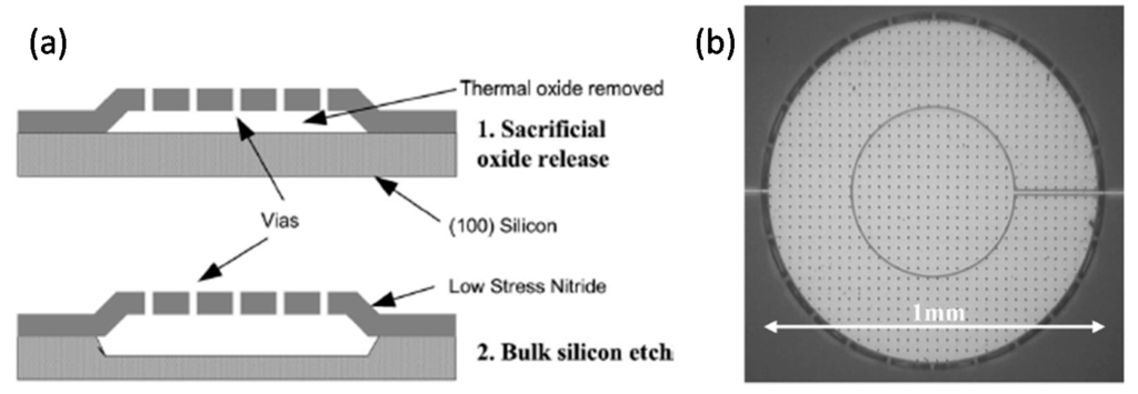 Progress of MEMS Scanning Micromirrors for Optical Bio-Imaging