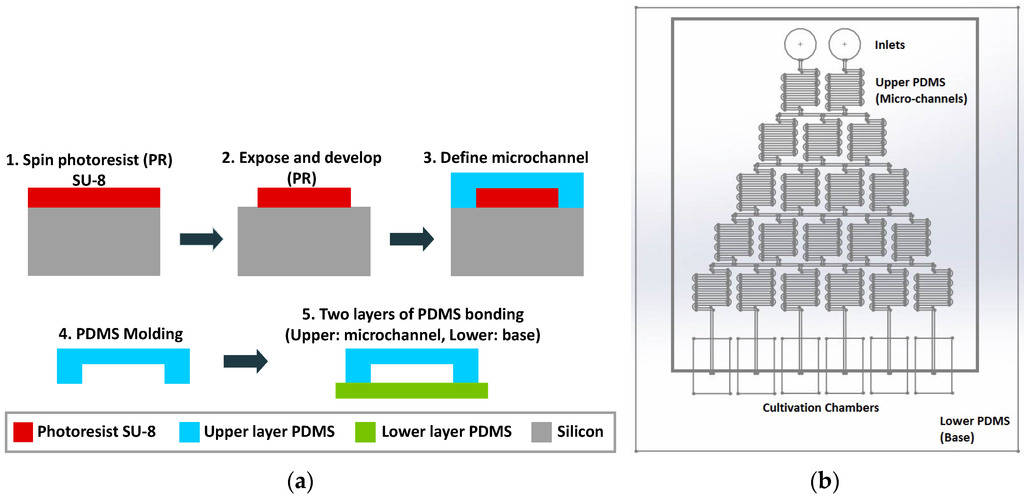 Using a Microfluidic Gradient Generator to Characterize BG-11 Medium ...