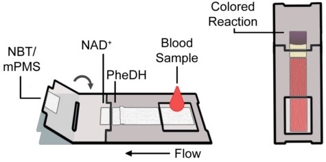 Micromachines | Free Full-Text | Development of a Whole Blood Paper ...