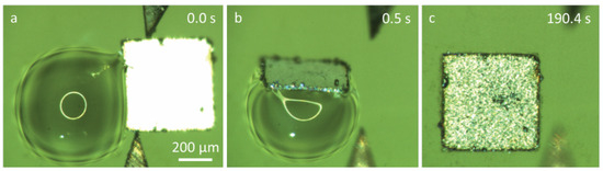 Capillary Self-Alignment of Microchips on Soft Substrates