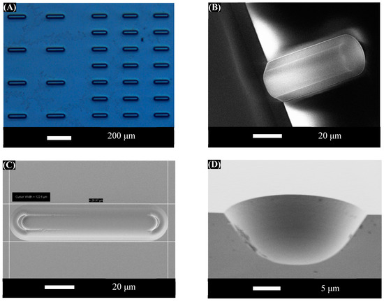 Shape-Selective Assembly of Anisotropic, Deformable Microcomponents Using Bottom-Up ...