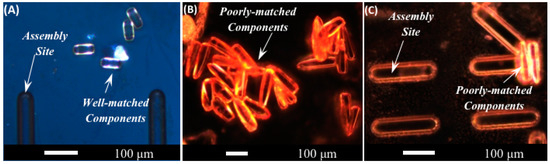 Shape-Selective Assembly of Anisotropic, Deformable Microcomponents Using Bottom-Up ...