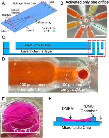 A Method of Three-Dimensional Micro-Rotational Flow Generation for ...