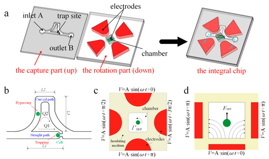Study of a Microfluidic Chip Integrating Single Cell Trap and 3D Stable ...