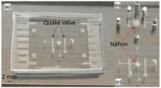 Microfluidic Neurons, a New Way in Neuromorphic Engineering?