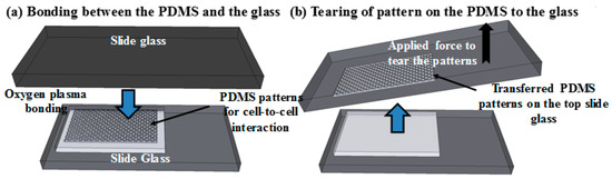 A Simple Method for Fabrication of Microstructures Using a PDMS Stamp