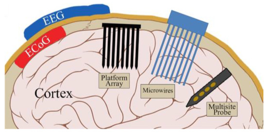 Flexible, Penetrating Brain Probes Enabled by Advances in Polymer ...