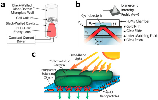 Review of Microfluidic Photobioreactor Technology for Metabolic ...