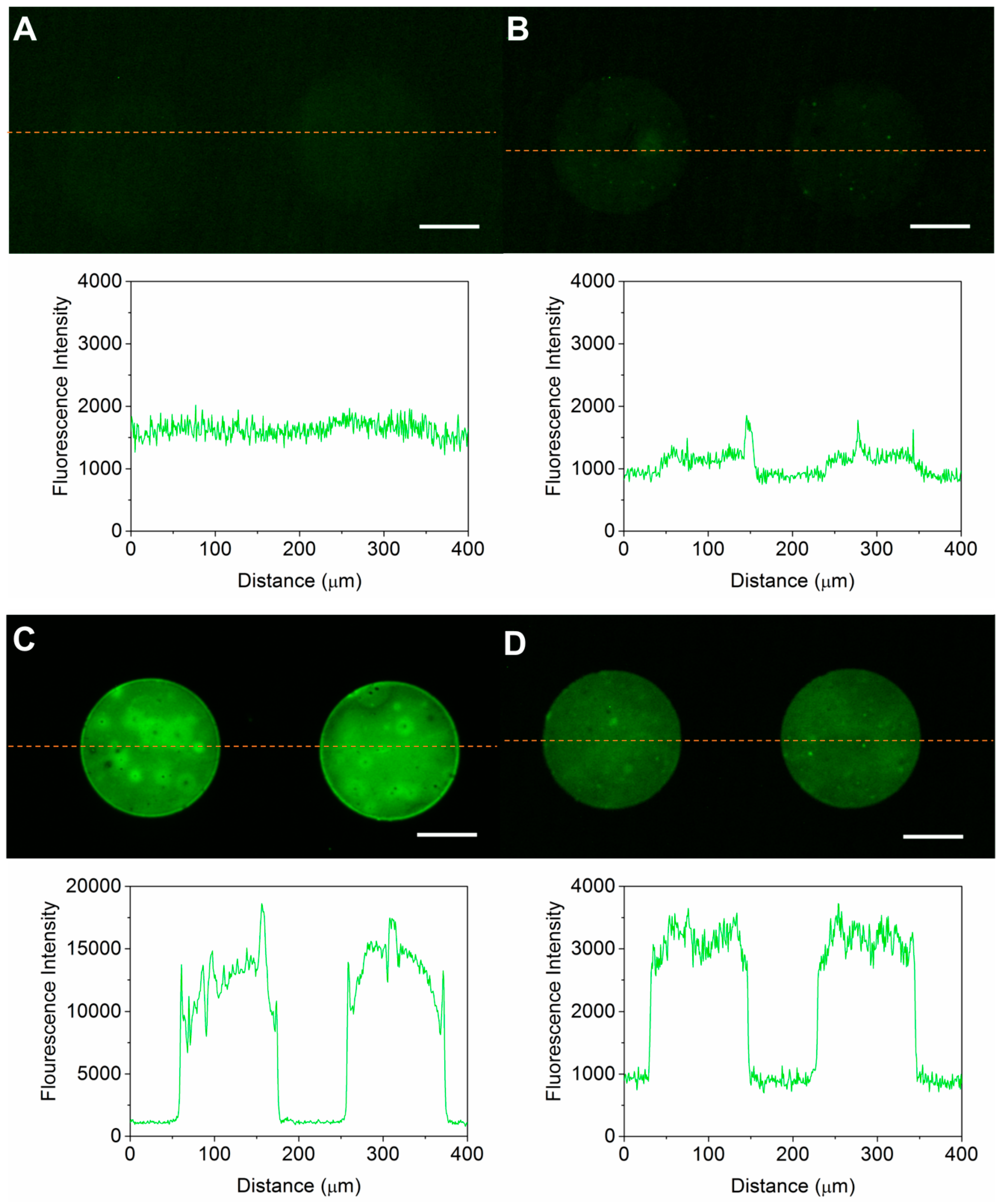 A Microfluidic Chip for Cell Patterning Utilizing Paired Microwells and ...
