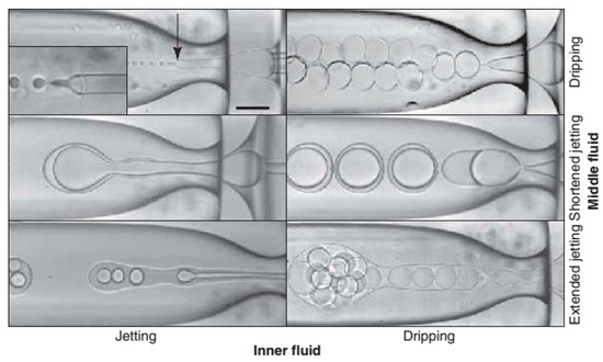 Droplet Microfluidics for the Production of Microparticles and ...