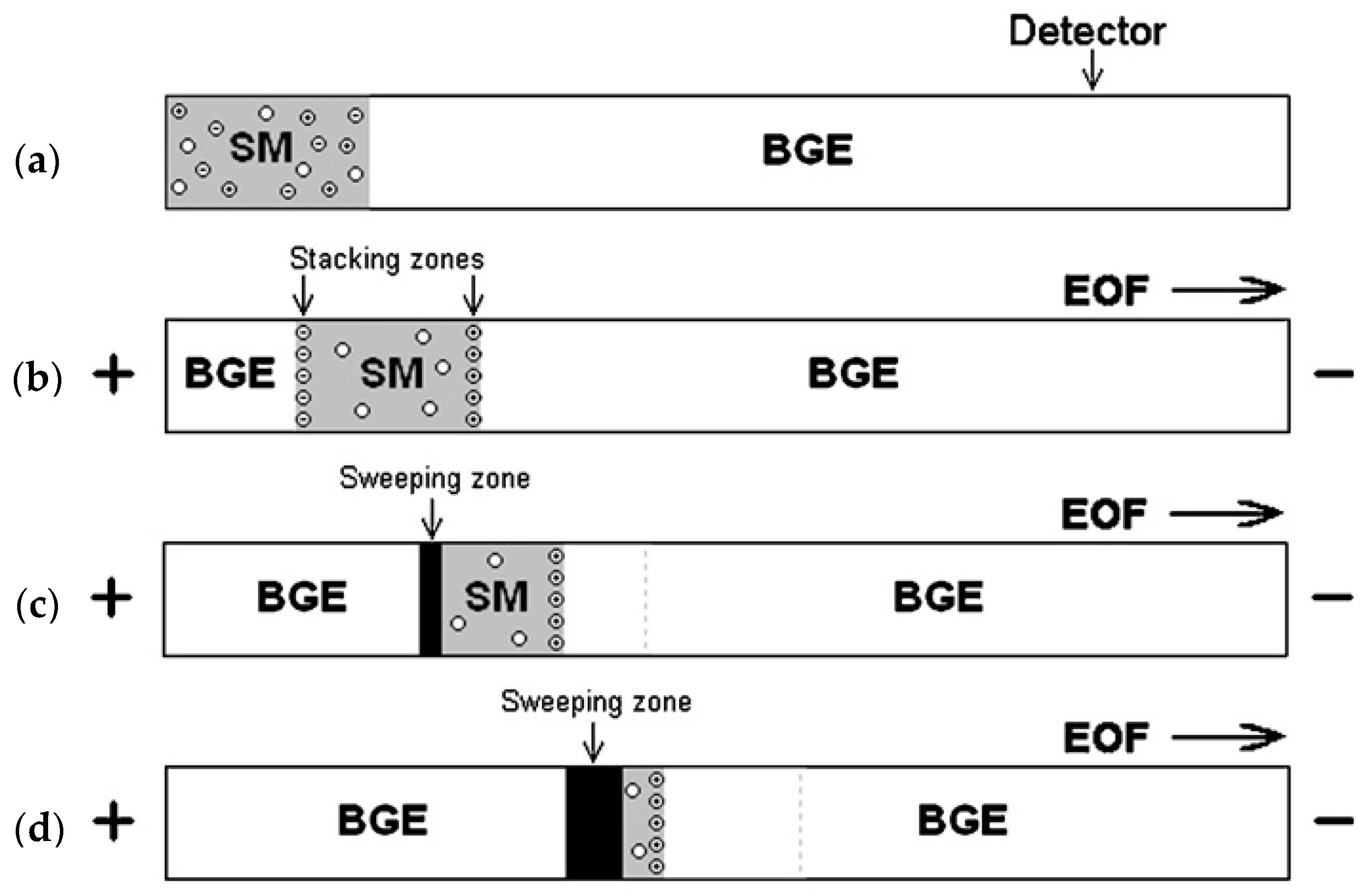 Microfluidic Techniques for Analytes Concentration