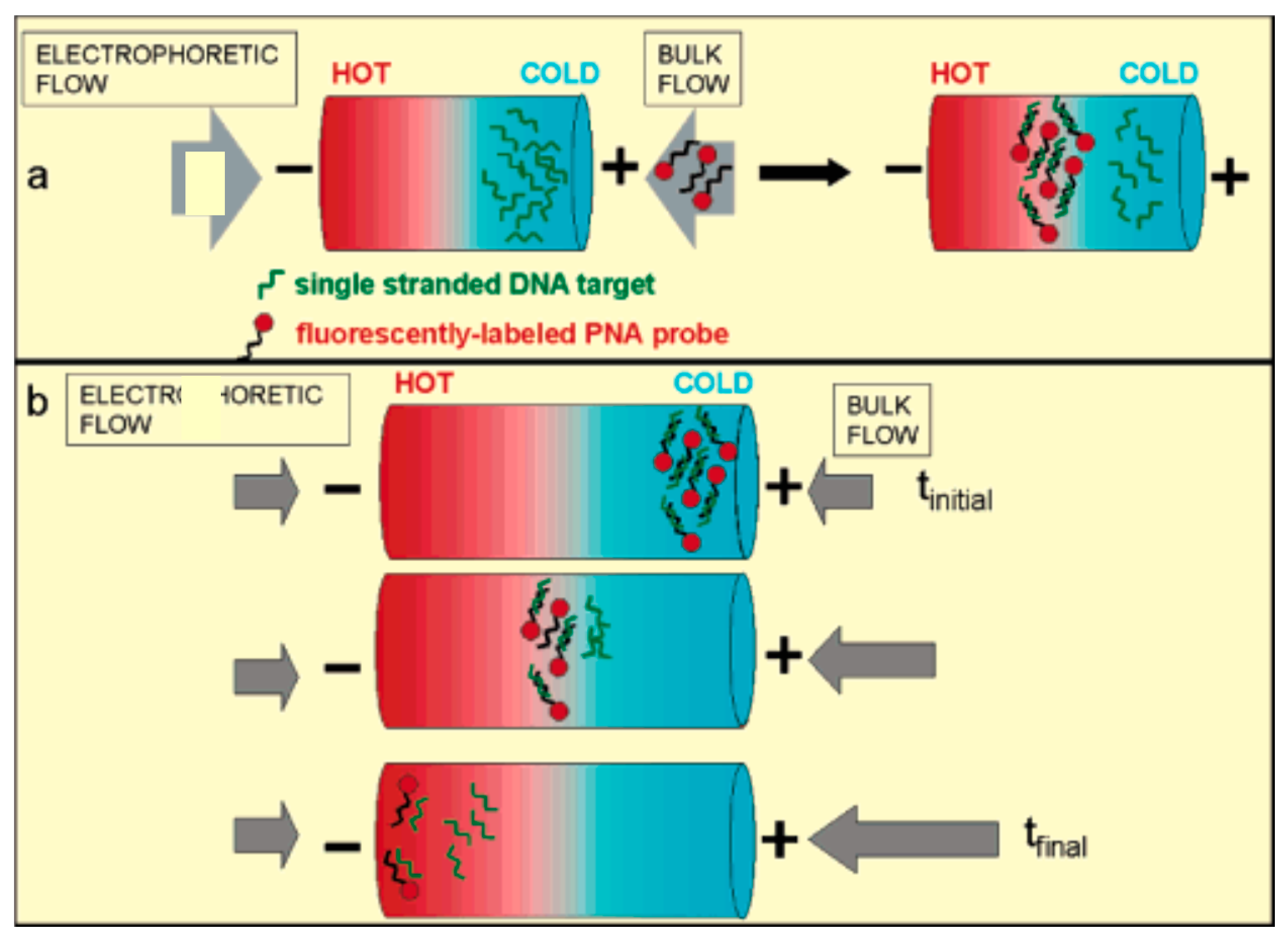 Microfluidic Techniques for Analytes Concentration