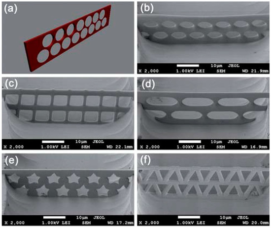 Ultrafast Laser Fabrication of Functional Biochips: New Avenues for ...