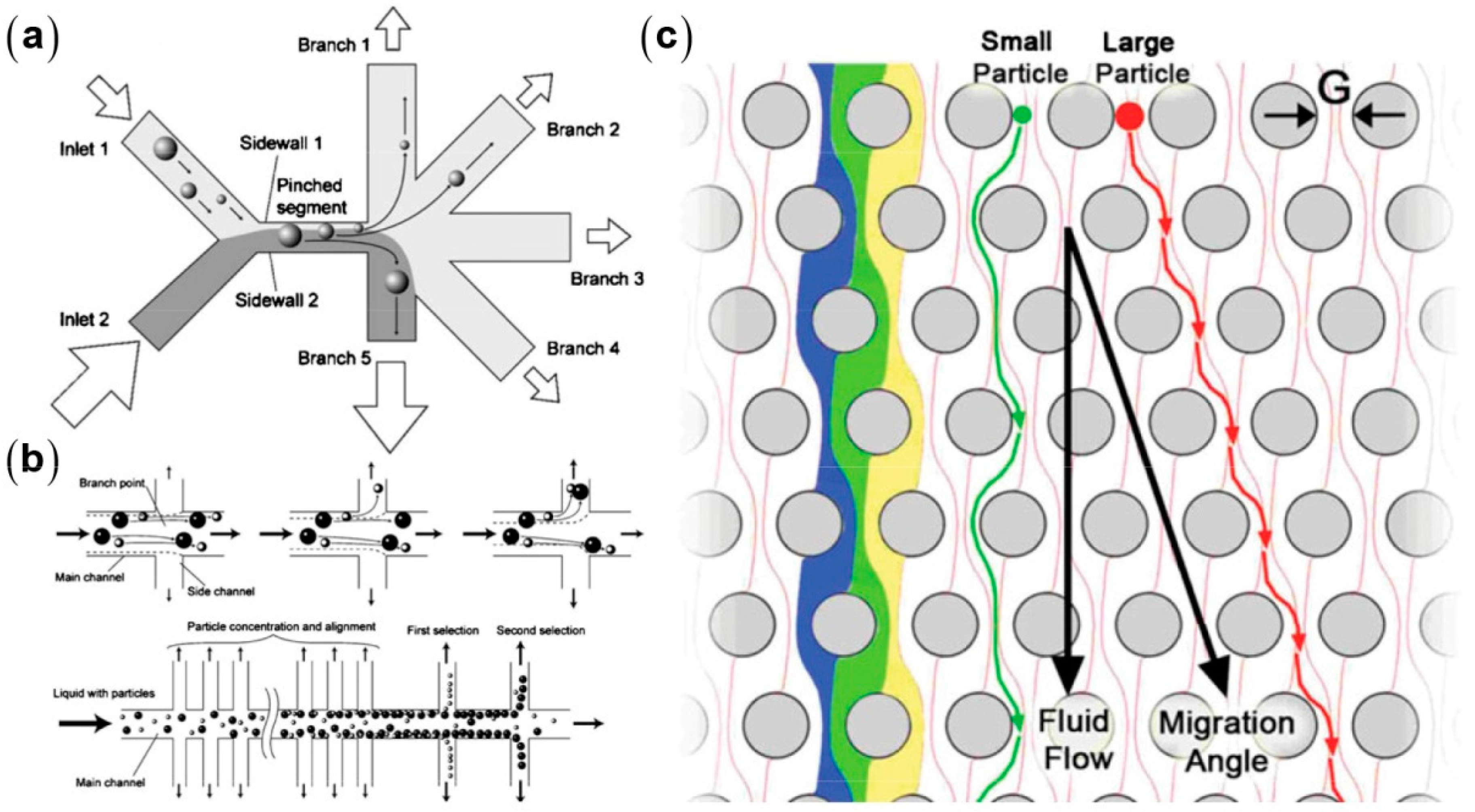 Micromachines | Free Full-Text | High-Throughput Particle Manipulation Based on Hydrodynamic ...