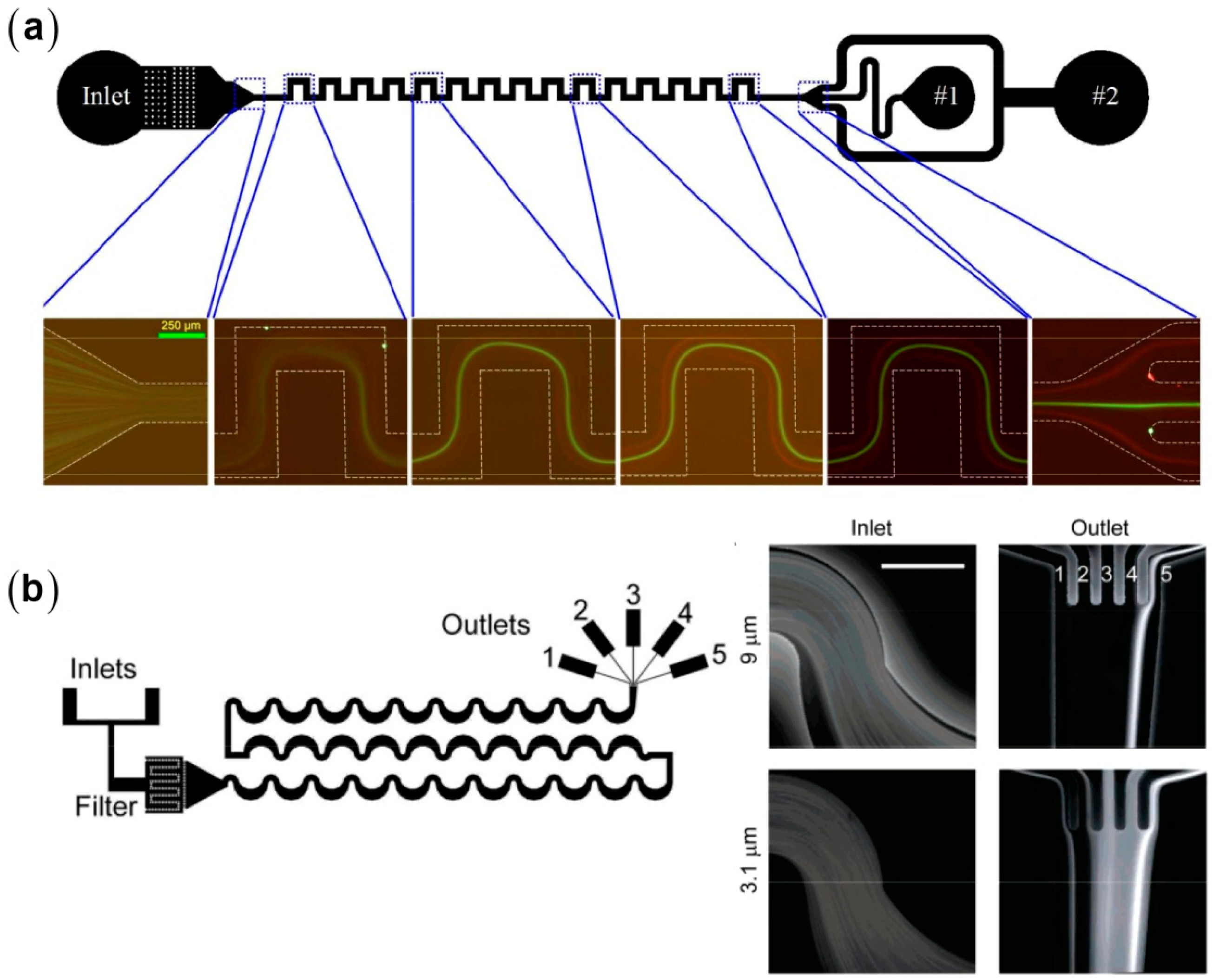 High-Throughput Particle Manipulation Based on Hydrodynamic Effects in Microchannels