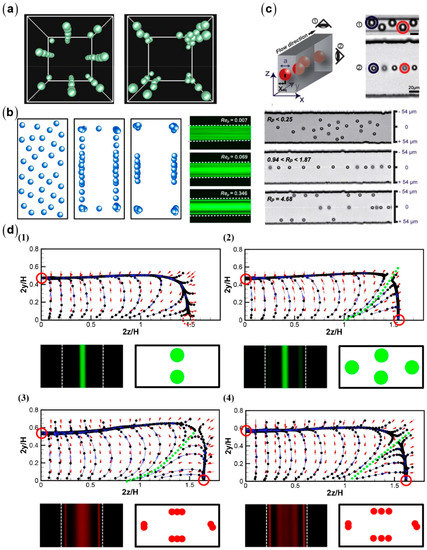 High-Throughput Particle Manipulation Based on Hydrodynamic Effects in Microchannels