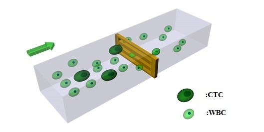 Micromachines | Free Full-Text | The Optimization of a Microfluidic CTC ...