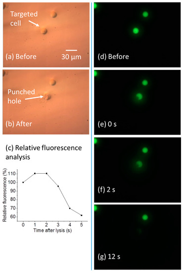 Localized Single-Cell Lysis and Manipulation Using Optothermally ...