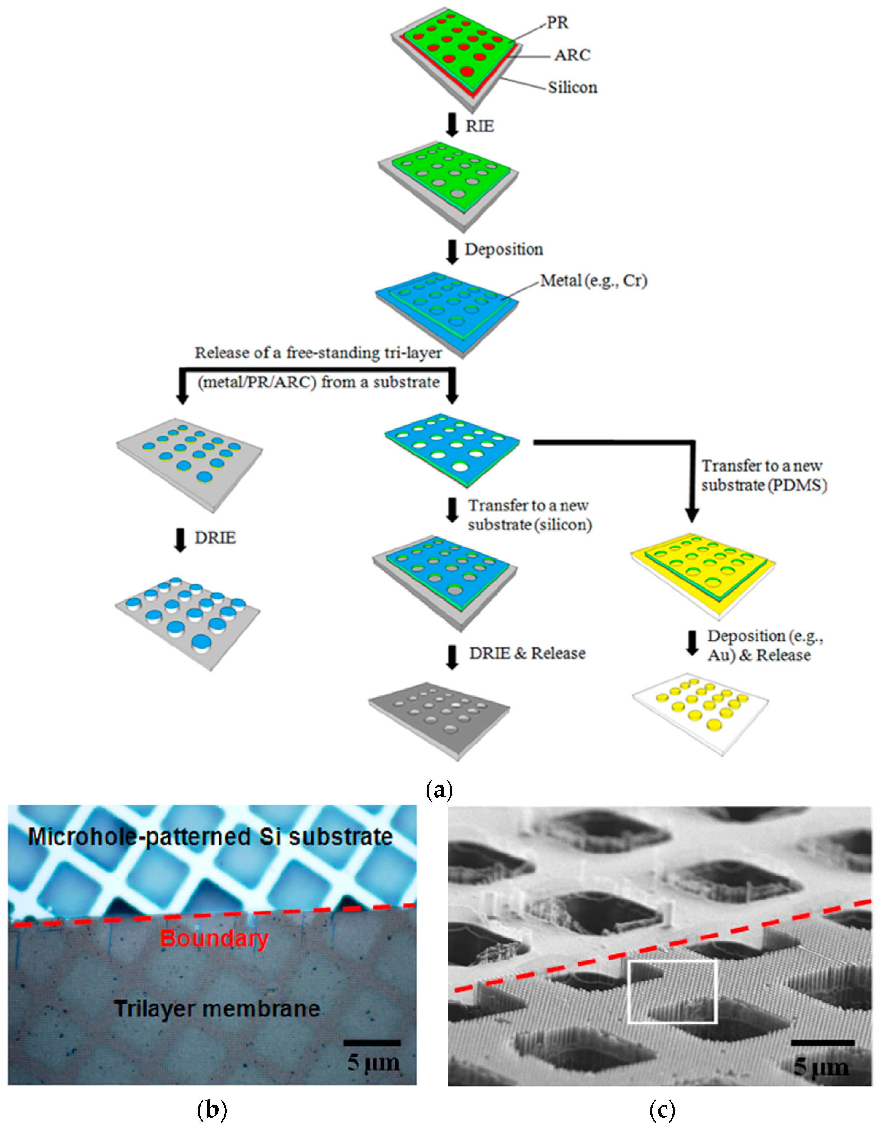 Micromachines | Free Full-Text | Stencil Lithography for Scalable Micro- and Nanomanufacturing