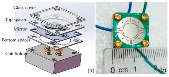 A Large-Size MEMS Scanning Mirror for Speckle Reduction Application