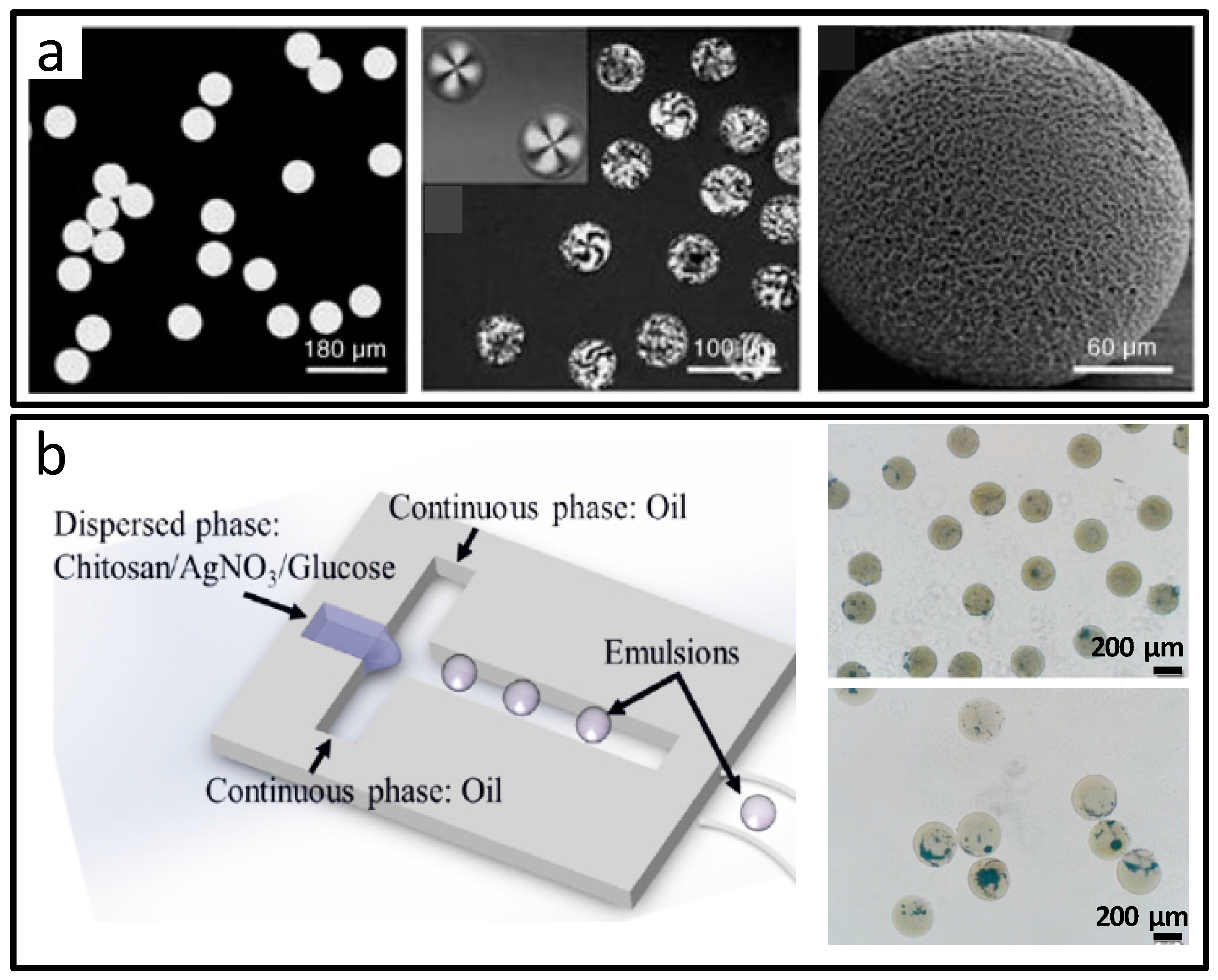 Biomaterials Meet Microfluidics: From Synthesis Technologies to ...