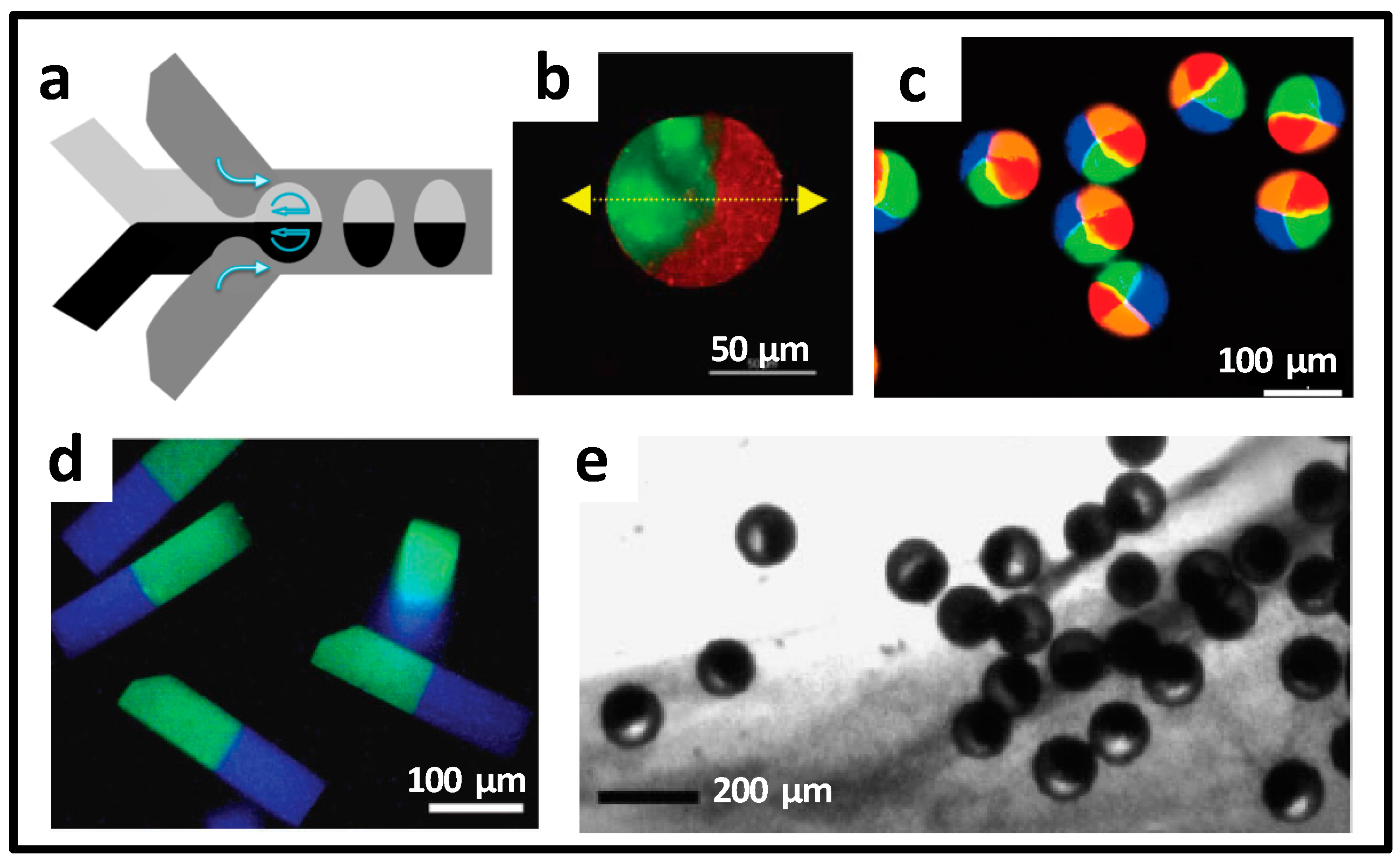 Biomaterials Meet Microfluidics: From Synthesis Technologies to ...