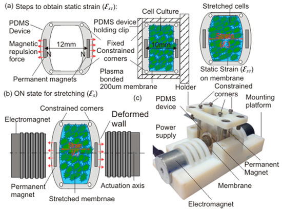 An Electromagnetically Actuated Double-Sided Cell-Stretching Device for Mechanobiology Research