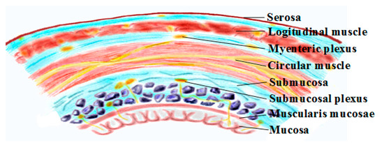 A Wireless Implant for Gastrointestinal Motility Disorders