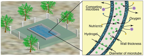 Development of a Triple-Coaxial Flow Device for Fabricating a Hydrogel ...