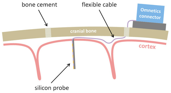 Silicon-Based Microfabrication of Free-Floating Neural Probes and ...
