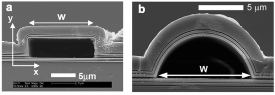 Optofluidics Refractometers