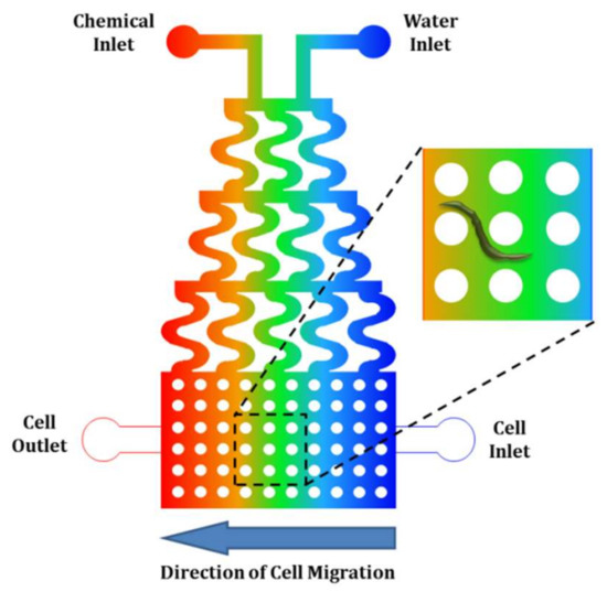 Micromachines | Special Issue : Bio-Inspired Micro/Nano Devices and Systems