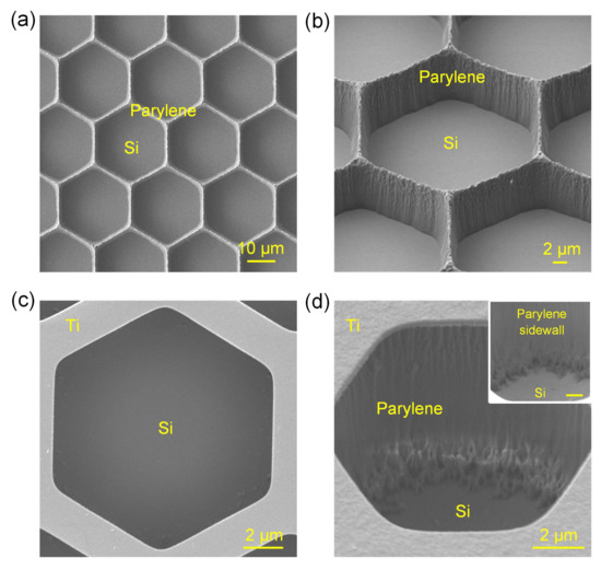 SF6 Optimized O2 Plasma Etching of Parylene C