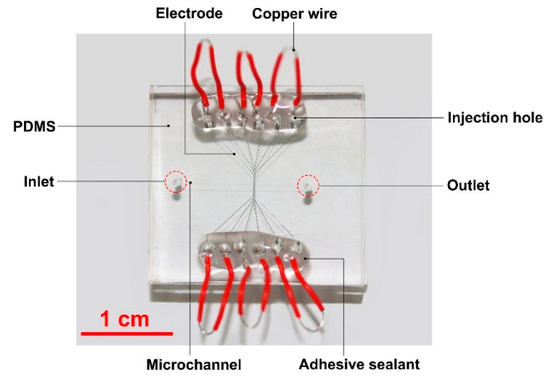 A Handy Liquid Metal Based Non-Invasive Electrophoretic Particle Microtrap