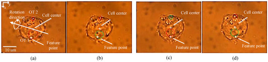 Manipulation of Biological Cells Using a Robot-Aided Optical Tweezers ...