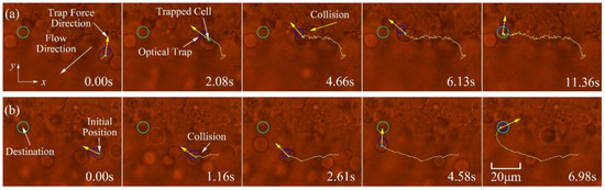 Manipulation of Biological Cells Using a Robot-Aided Optical Tweezers ...