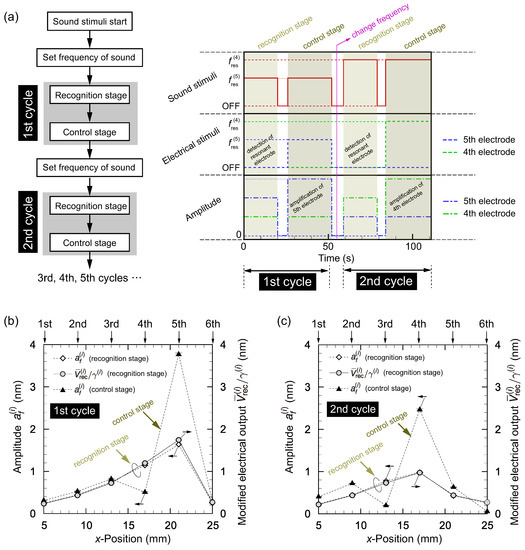Artificial Cochlear Sensory Epithelium with Functions of Outer Hair ...