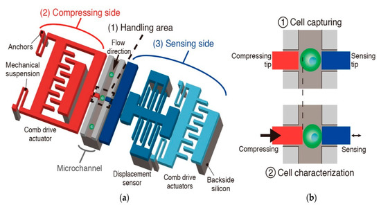 Micromachines | Free Full-Text | Developing a MEMS Device with Built-in Microfluidics for ...
