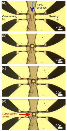 Micromachines | Free Full-Text | Developing a MEMS Device with Built-in Microfluidics for ...