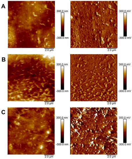 Friction Determination by Atomic Force Microscopy in Field of ...