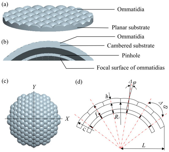 Design and Fabrication of a Three-Dimensional Artificial Compound Eye ...