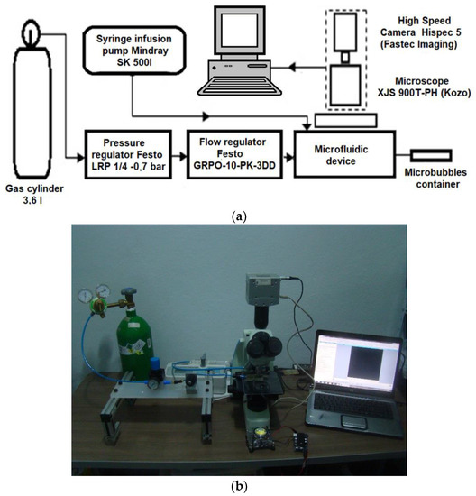 Micropipette-Based Microfluidic Device for Monodisperse Microbubbles ...