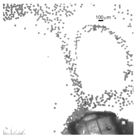 Micropipette-Based Microfluidic Device for Monodisperse Microbubbles ...