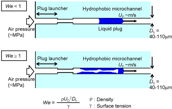 Micromachines | Free Full-Text | Transport of a Micro Liquid Plug in a ...