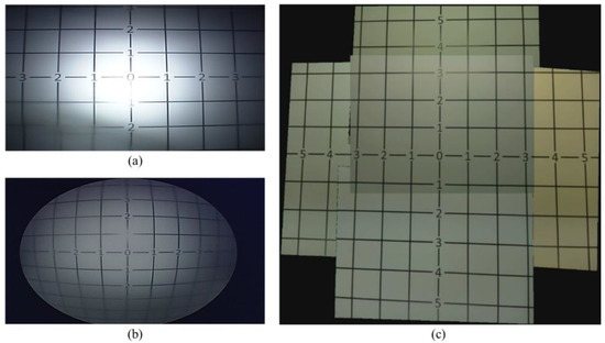 Large-Field-of-View Visualization Utilizing Multiple Miniaturized ...