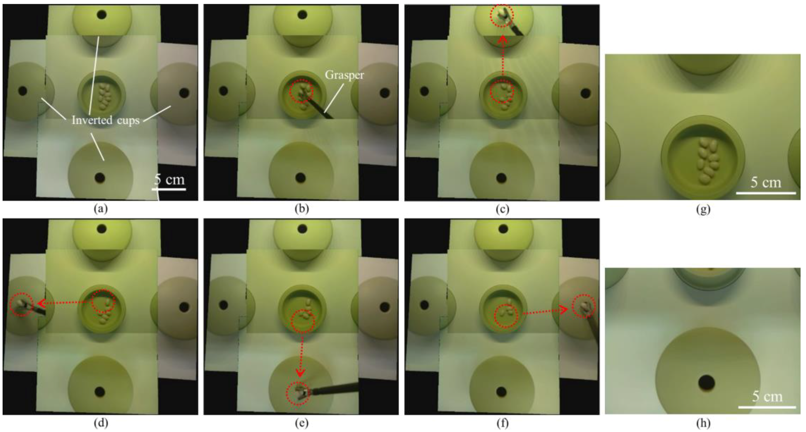 Large-Field-of-View Visualization Utilizing Multiple Miniaturized Cameras for Laparoscopic Surgery