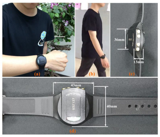 Activity Monitoring with a Wrist-Worn, Accelerometer-Based Device