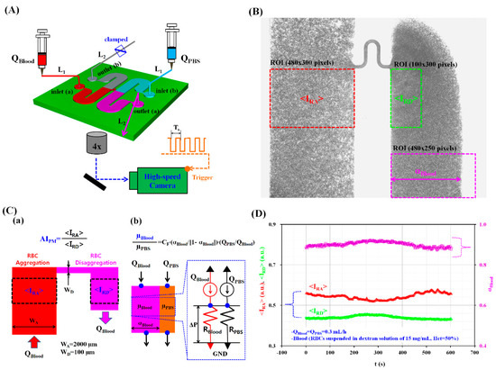 Microfluidic-Based Technique for Measuring RBC Aggregation and Blood ...
