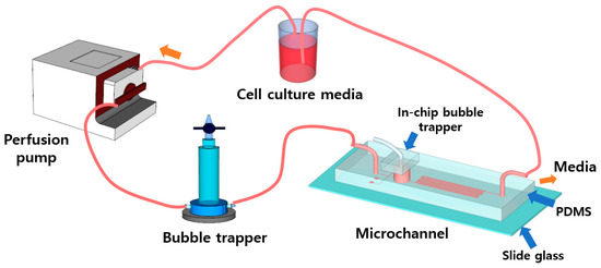 Enhancement of Virus Infection Using Dynamic Cell Culture in a Microchannel